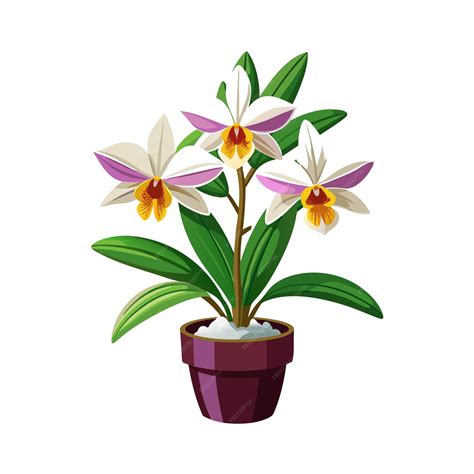 Beautiful Houseplant Vector Illustration Concept Premium Ai Generated