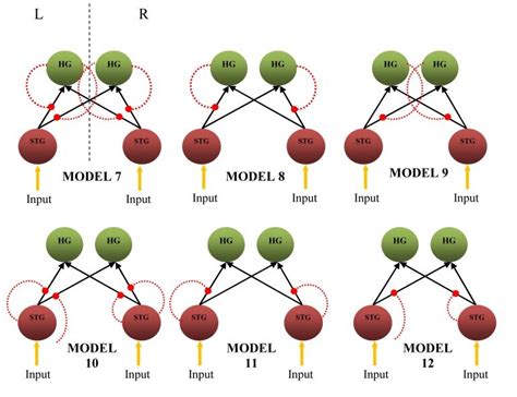 Six Nonlinear Causal Models Having Connections Gated By The Activity In Download Scientific