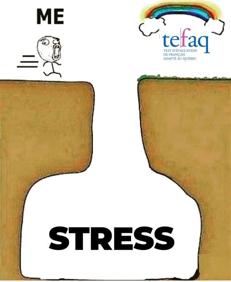 Prepare For The Tefaq Exam In 5 Steps Collège De La Concorde