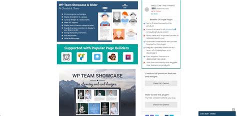 10 Best Wordpress Team Member Plugins 2025 Mostly Free
