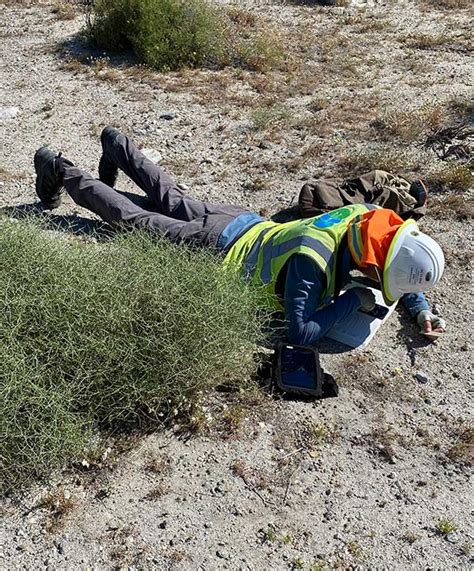 Botanical Services · Ecorp Consulting Inc