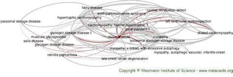 Danon Disease Disease Malacards Research Articles Drugs Genes