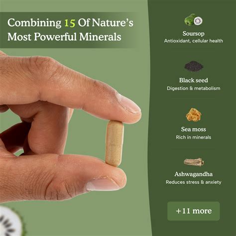 Soursop Capsules Daily Holistic Blend Serene Herbs