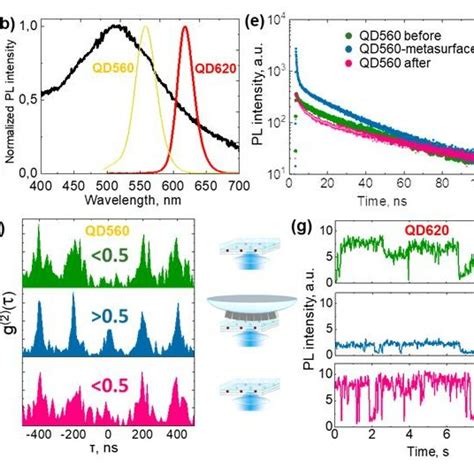 Reversible Effect Of The Interaction With The Snc Plasmonic Metasurface