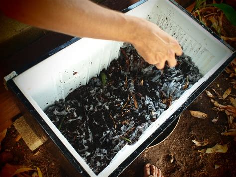 How To Make A Worm Composting Bin