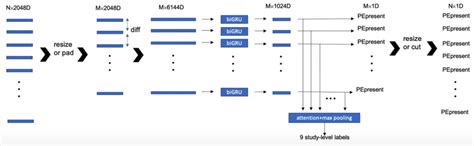 Rsna Ai Challenge 2020 Reviewing The Winning Algorithms Of The Pulmonary Embolism Detection