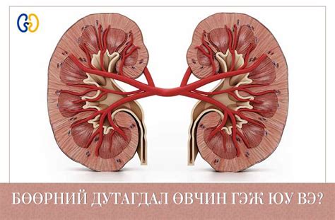 Бөөрний Бөөрний Архаг Дутагдал өвчний эсрэг нэгдэл