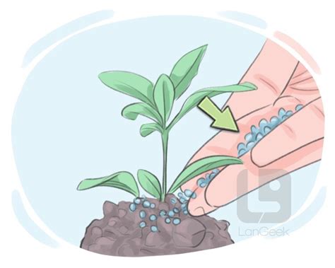 Definition And Meaning Of Fertilizer Picture Dictionary