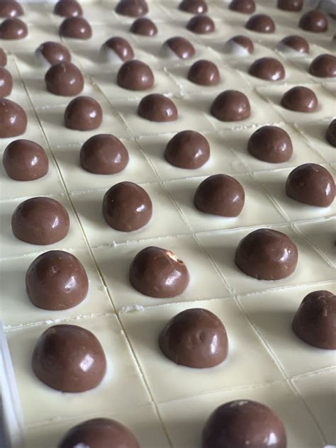 Malteser Slice Coffeelicious