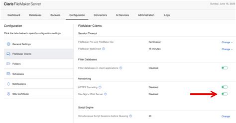 FileMaker Executive Summary AI Feature Insights FileMaker Executive Summary AI Feature Insights