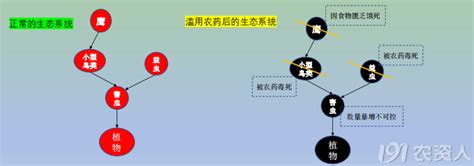 生物防治之以虫治虫植保技术191农资人 农技社区服务平台
