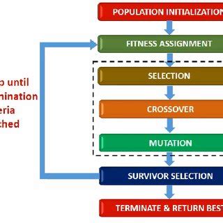 Structure Of Genetic Algorithm Download Scientific Diagram