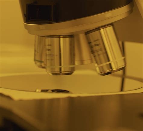 Japan Scientific Rubber And Ibm Quantum Aravind Media