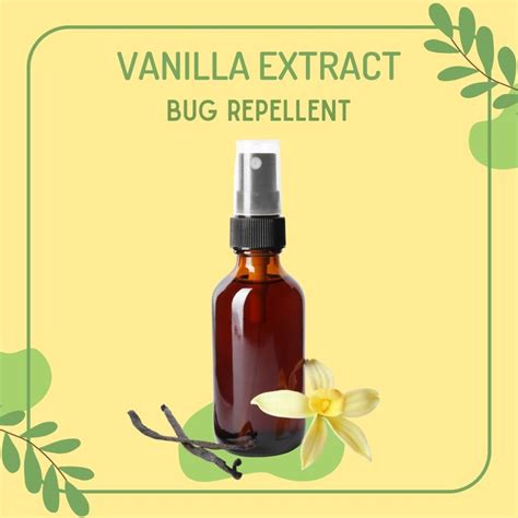 Vanilla Extract Bug Repellent Natures Bug Shield