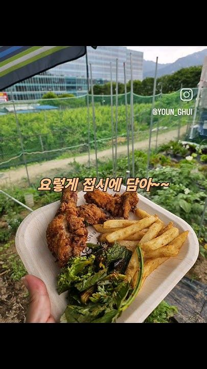 주말농장 에서 치킨 먹기 Youtube