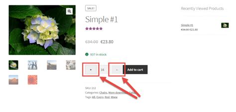 Woocommerce Add To Cart Quantity Plus And Minus Buttons