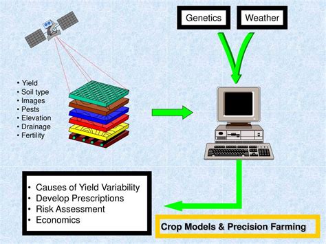 PPT Crop Models For Decision Support PowerPoint Presentation Free Download ID