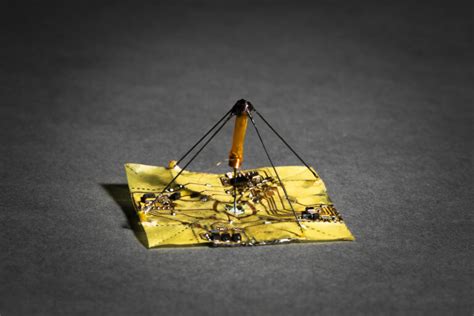 Origami Inspired Sensor Platforms Tumble Like Leaves To Study Forests