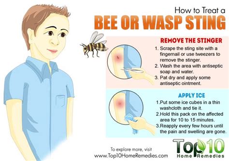 Bee Or Wasp Sting Wasp Stings Remedies For Bee Stings Wasp Sting Remedy