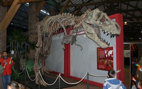 Stan T Rex Skeleton Geomodel
