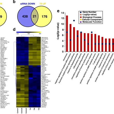 Clustering And Go Enrichment Analysis Of The Significant Differentially Download Scientific