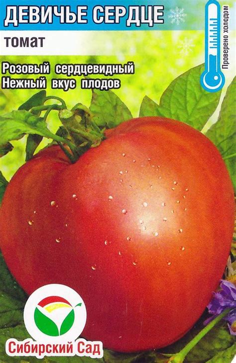 Томат Девичьи сердечки: характеристика и описание среднераннего сорта с ...