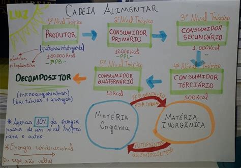 Mapa Mental De Cadeia Alimentar Librain