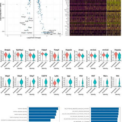Cell Cell Interactions Inferred From Scrna Seq Data A Cell Cell