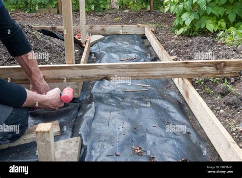 Constructing Wooden Framework For Raised Bed On Allotment With Fabric