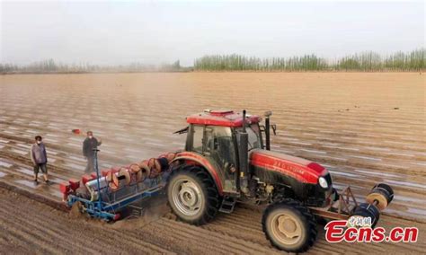 Chinas Spring Sowing Activities Steadily Move Forward Despite Epidemic