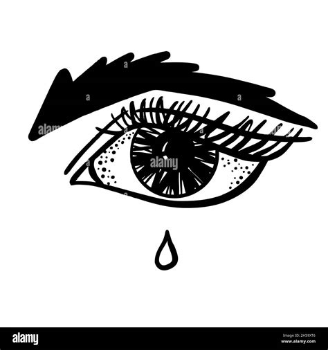 Female Eye With Eyelashes And Eyebrows Black And White Vector Sketch