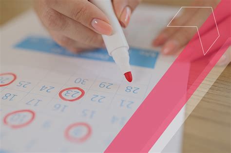 Calendário Datas Comemorativas Para Programar Na Escola