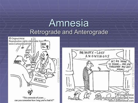 Source Amnesia Psychology