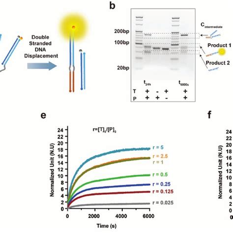 Experimental Validation Of Seqlock A The Provided Diagram Illustrates Download Scientific