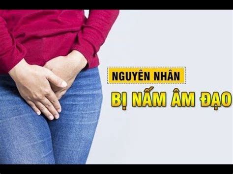 Ghim trên độ đẹp