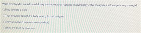 Solved When Lymphocytes Are Educated During Maturation What