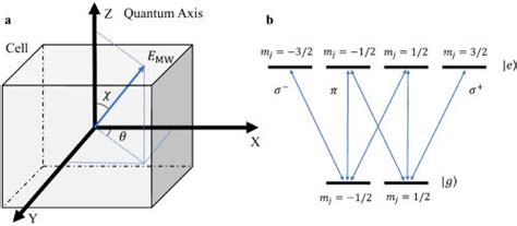Schematic Of Intuitive Theory A Schematic Of Rf E Field Vector