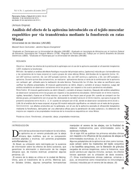 Apii Pdf