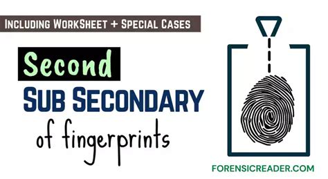 [rules] Second Sub Secondary Classification Of Fingerprint Calculation