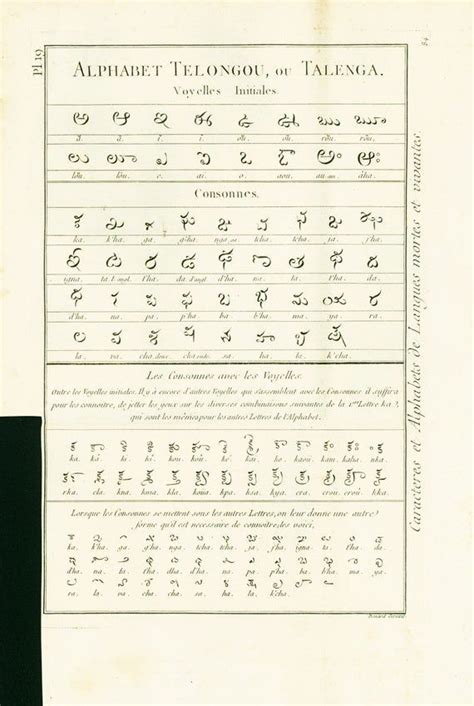 Script Alphabet Sanskrit Scripts Antique Prints Language Letters