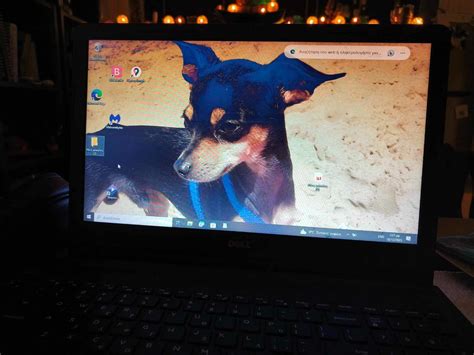 LAPTOP DELL ΜΕ ΟΘΟΝΗ ΕΠΕΞΕΡΓΑΣΤΗ AMD ΣΤΑ Ghz WINDOWS ΨΗΦΙΑΚΌ ΔΊΣΚΟ SSD GB