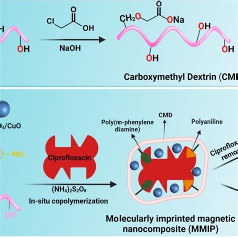 Schematic Illustration Of The Synthesis Of Carboxymethyl Dextrin Cmd