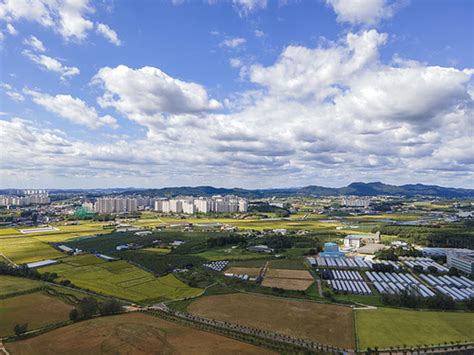 하늘 좋은날의 안성목장 풍경 유토이미지 상세페이지 베이직샵 사진 21545613