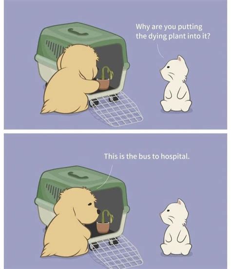 Aww So Pure And Sweet Rwholesomememes Wholesome Memes Know Your