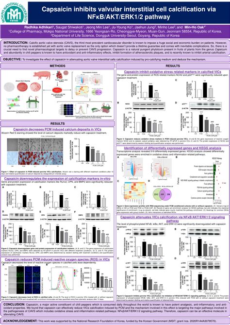 Pdf Capsaicin Inhibits Valvular Interstitial Cell Calcification Via Nfκb Akt Erk1 2 Pathway