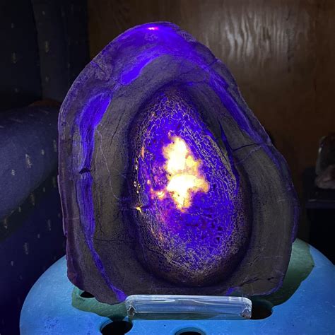 Dinosaur Gem Bone Giant Cut And Finished Slab Huge Blue Agate Cells 2 Lb