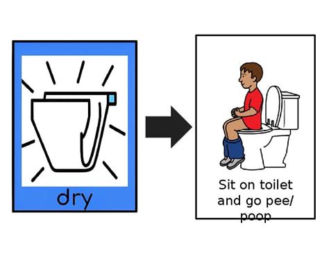 Toileting Wet Or Dry Visuals By Kenya Cordero Tpt
