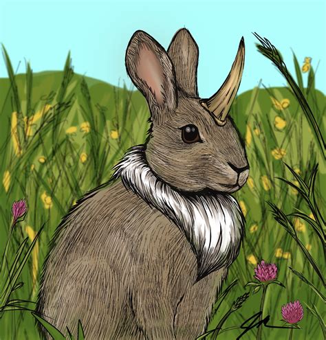 Horned Rabbit By Unkyjar On Deviantart