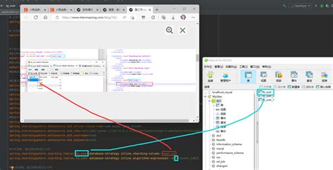 第四节 Idea使用mycat 参码踪