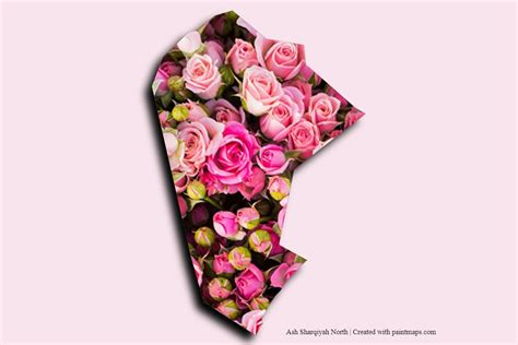 Ash Sharqiyah North Photo Map Maker